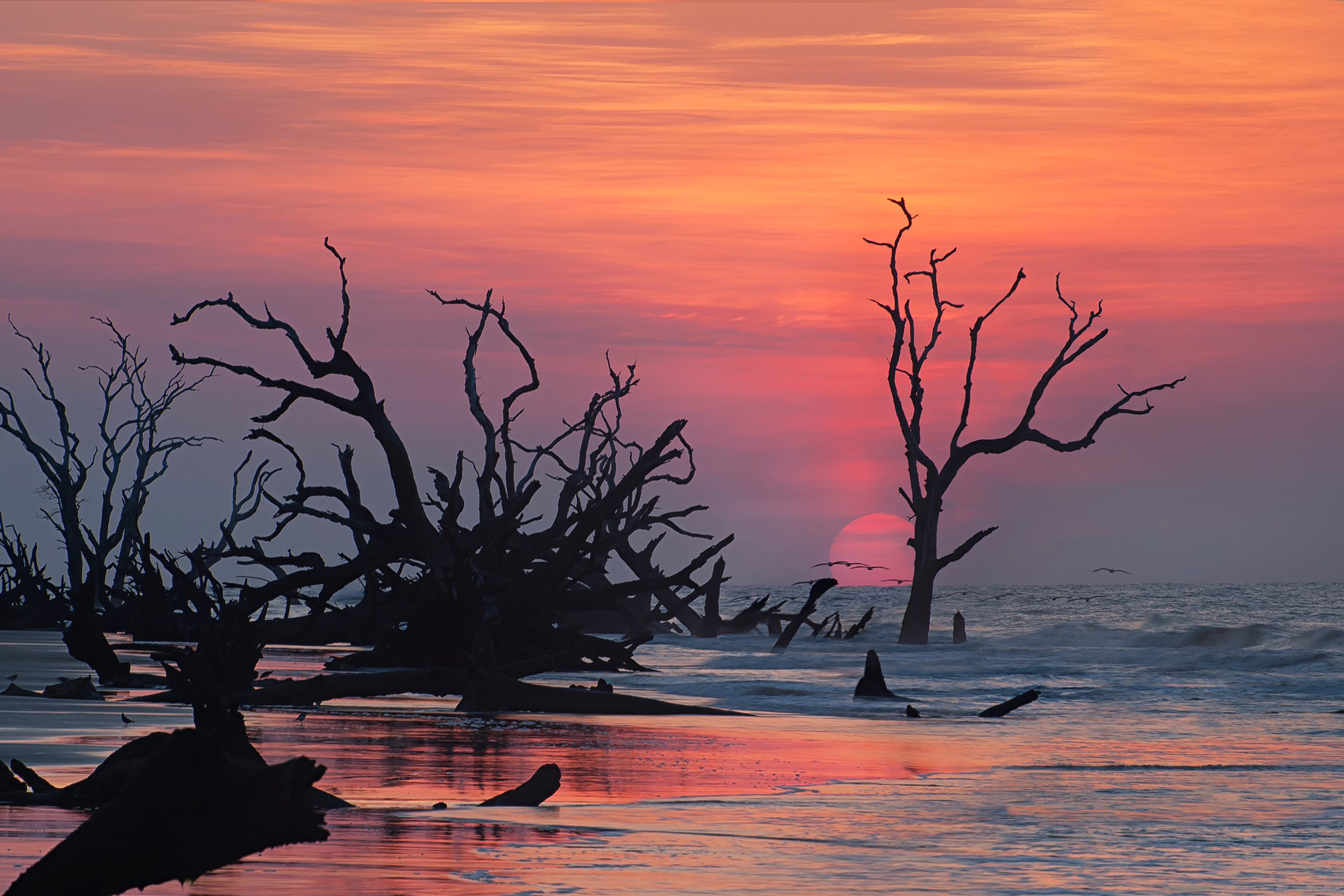 Home Page - Georgetown Art & Wine Walk