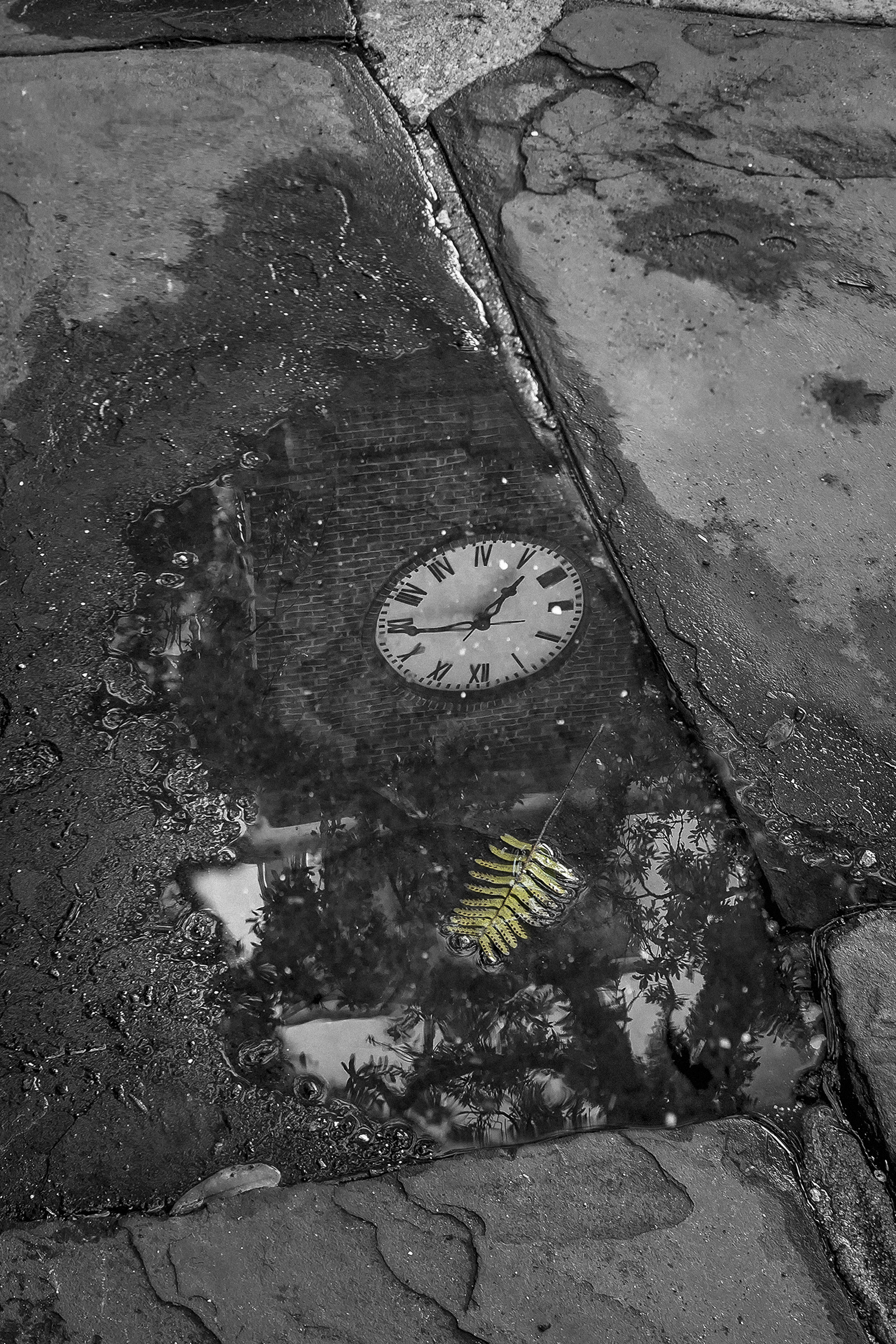 Home Page - Georgetown Art & Wine Walk